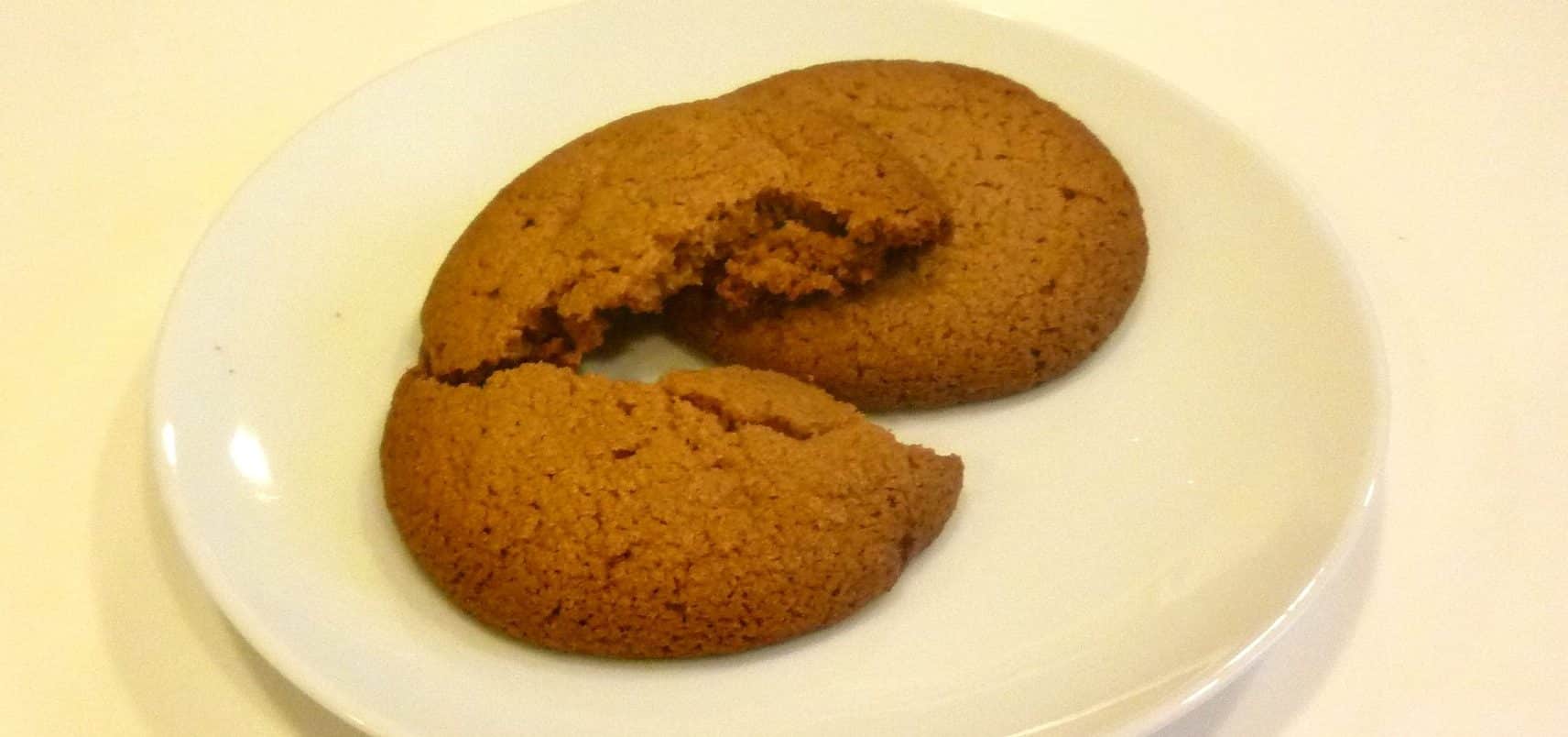 Warm Cookies: The World’s Most Powerful Substance • Eva Moon